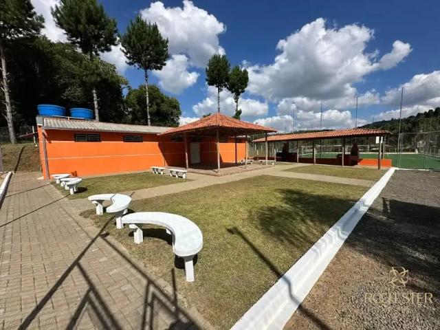 Sítio / Chácara para Venda em Almirante Tamandaré/PR Pacotuba