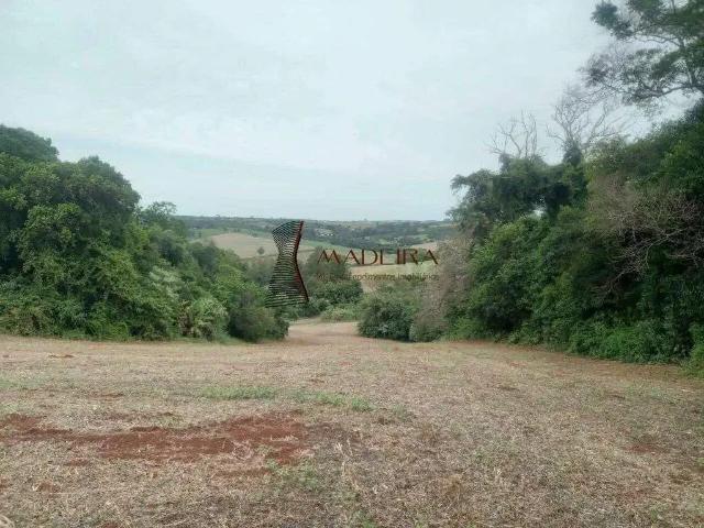Sítio / Chácara para Venda em Apucarana/PR Área Rural de Apucarana