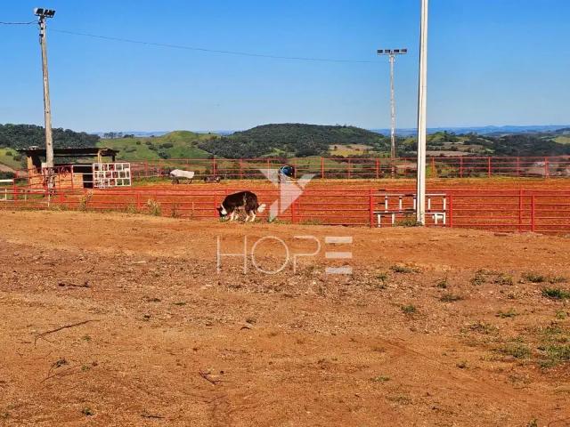 Sítio / Chácara para Venda em Apucarana/PR Área Rural de Apucarana