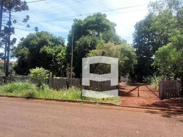 Sítio / Chácara para Venda em Apucarana/PR Recanto Mundo Novo 2 Quartos