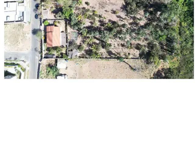 Sítio / Chácara para Venda em Aparecida de Goiânia/GO Vila Maria 4 Quartos