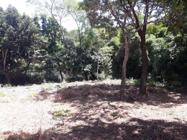 Sítio / Chácara para Venda em Aparecida de Goiânia/GO Parque das Nações