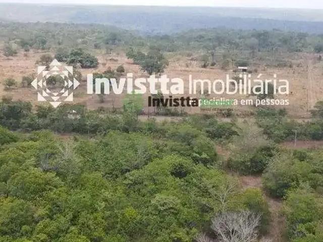 Sítio / Chácara para Venda em Aparecida do Rio Negro/TO Zona Rural
