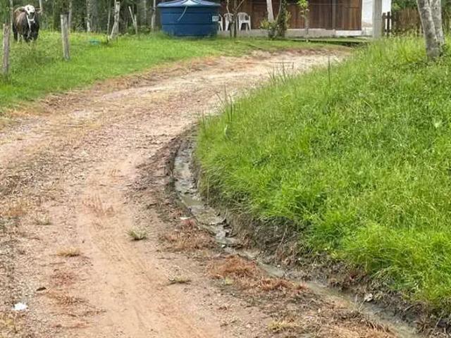 Sítio / Chácara para Venda em Apiúna/SC Zona Rural