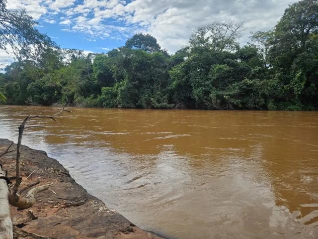 Sítio / Chácara para Venda em Aquidauana/MS Zona Rural 3 Quartos