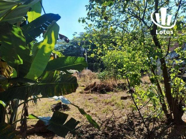 Sítio / Chácara para Venda em Artur Nogueira/SP Área Rural de Artur Nogueira 1 Quartos
