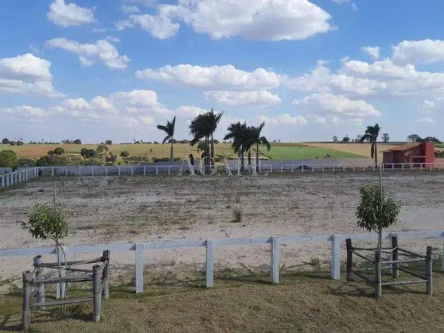 Sítio / Chácara para Venda em Artur Nogueira/SP Área Rural de Artur Nogueira 2 Quartos