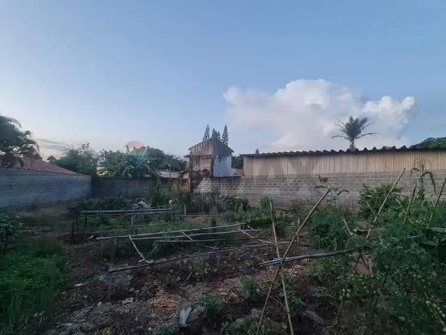 Sítio / Chácara para Venda em Artur Nogueira/SP Jardim Santa Rosa
