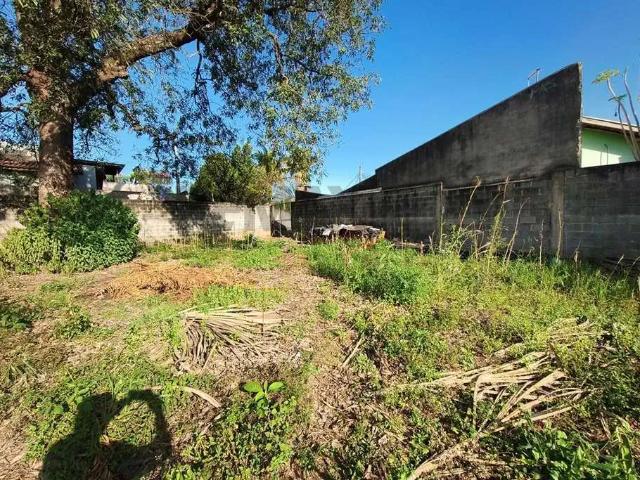 Sítio / Chácara para Venda em Artur Nogueira/SP Jardim Santa Rosa