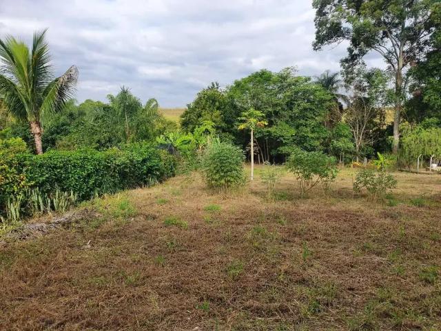 Sítio / Chácara para Venda em Artur Nogueira/SP Recanto Vale do Sol