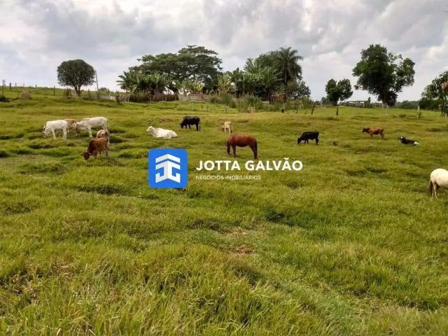 Sítio / Chácara para Venda em Artur Nogueira/SP Sítio Novo 2 Quartos
