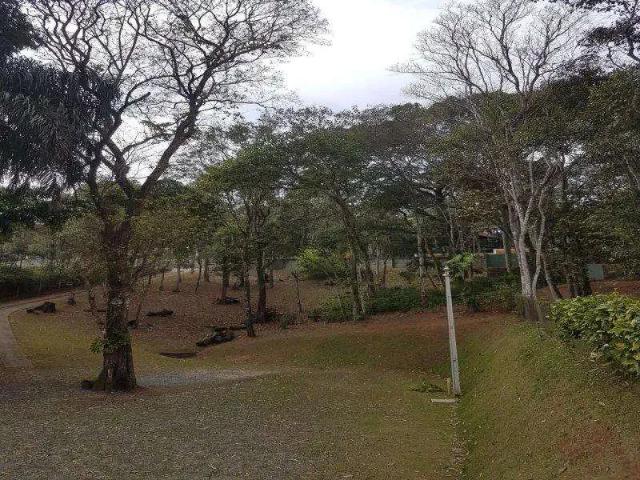 Sítio / Chácara para Venda em Arujá/SP Chácaras Alvorada 4 Quartos