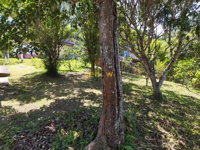Sítio / Chácara para Venda em Arujá/SP Jardim Arujá 4 Quartos