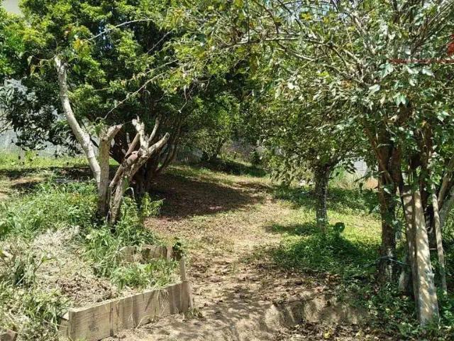 Sítio / Chácara para Venda em Arujá/SP São Bento 3 Quartos