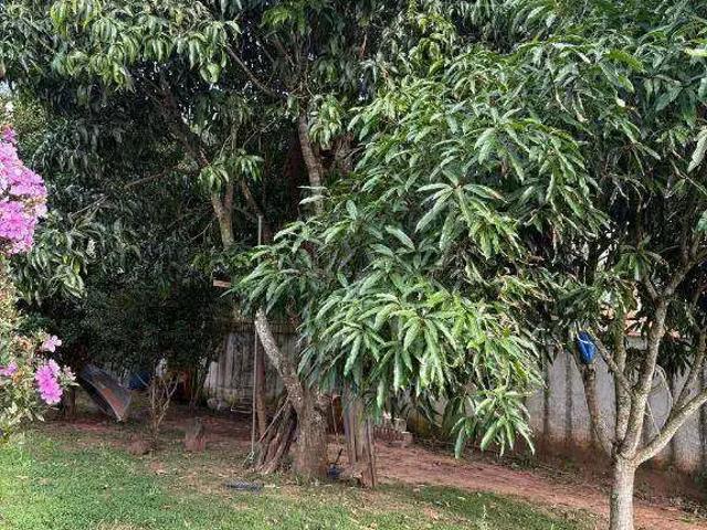 Sítio / Chácara para Venda em Araçoiaba da Serra/SP Campo do Meio 1 Quartos