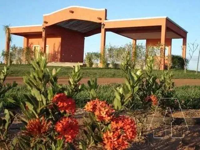 Sítio / Chácara para Venda em Araçatuba/SP Cafezópolis 4 Quartos