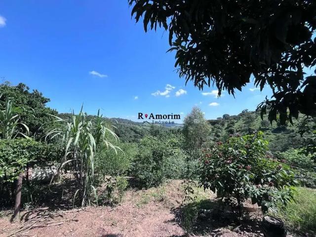 Sítio / Chácara para Venda em Araçariguama/SP Santa Ella 3 Quartos