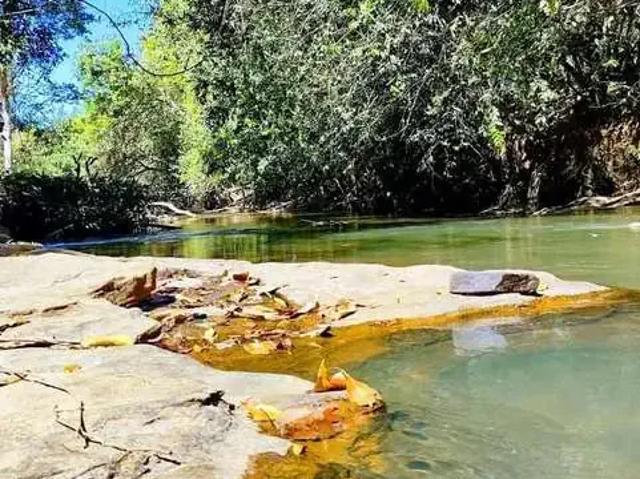 Sítio / Chácara para Venda em Aragoiânia/GO Zona Rural