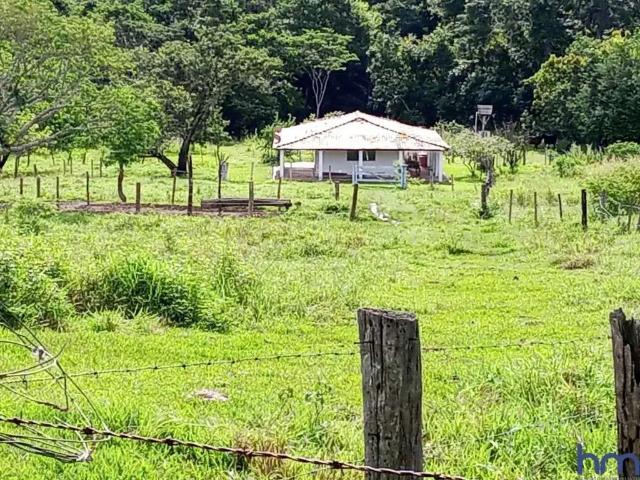 Sítio / Chácara para Venda em Araguari/MG Área Rural de Araguari