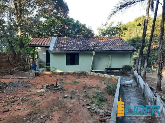 Sítio / Chácara para Venda em Araguari/MG Área Rural de Araguari