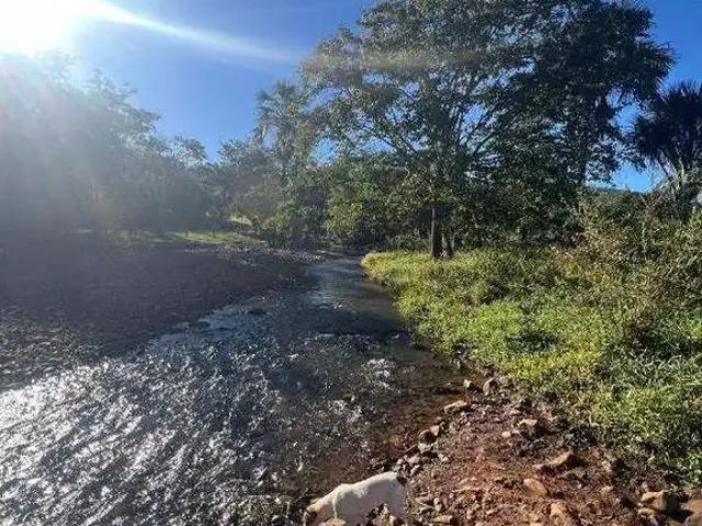 Sítio / Chácara para Venda em Araguari/MG Área Rural de Araguari