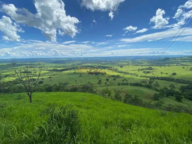 Sítio / Chácara para Venda em Araguari/MG Centro
