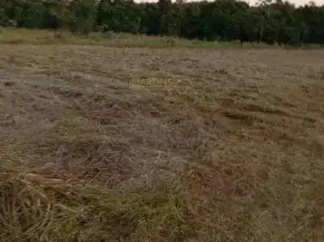 Sítio / Chácara para Venda em Araguari/MG Centro