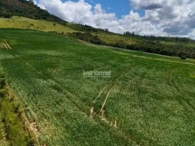 Sítio / Chácara para Venda em Arapoti/PR Zona Rural
