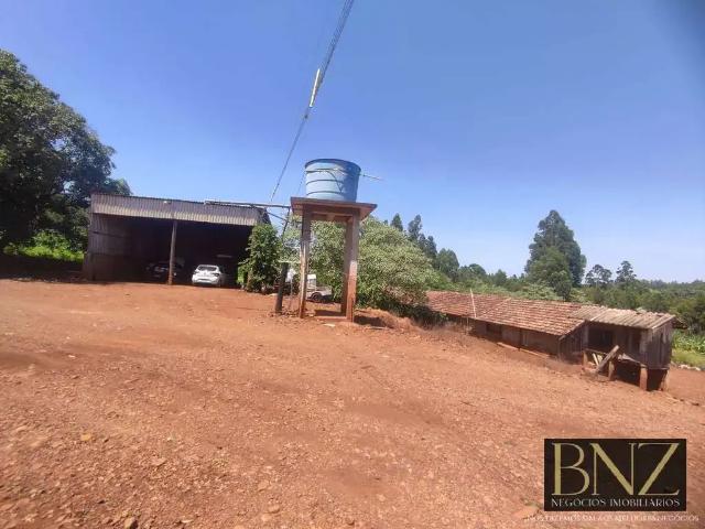 Sítio / Chácara para Venda em Arapongas/PR Área Rural de Arapongas