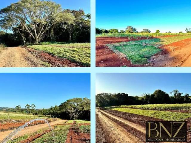 Sítio / Chácara para Venda em Arapongas/PR Área Rural de Arapongas