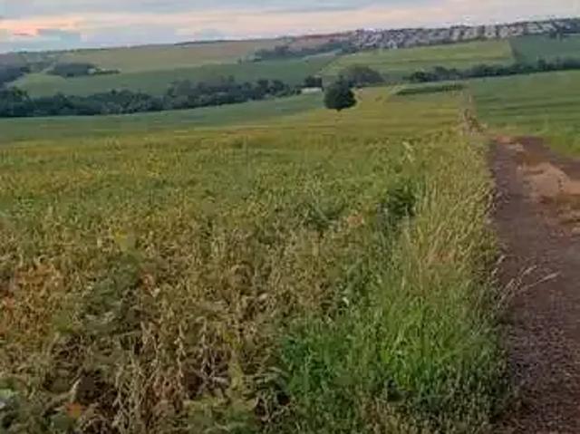 Sítio / Chácara para Venda em Arapongas/PR Área Rural de Arapongas