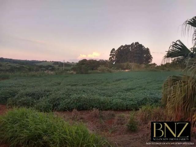 Sítio / Chácara para Venda em Arapongas/PR Área Rural de Arapongas