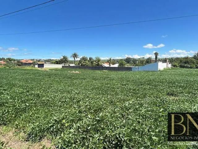Sítio / Chácara para Venda em Arapongas/PR Área Rural de Arapongas