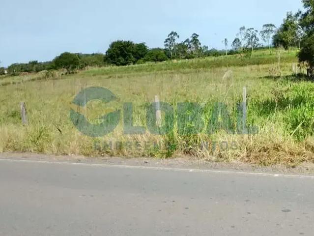 Sítio / Chácara para Venda em Araranguá/SC Hercílio Luz Hercílio Luz