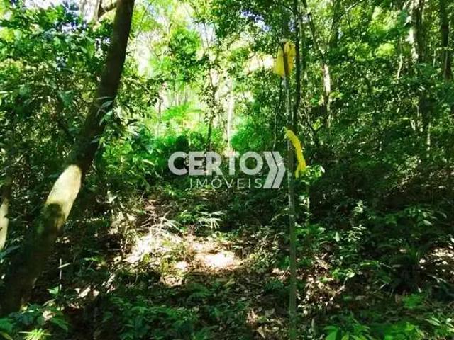 Sítio / Chácara para Venda em Araricá/RS Zona Rural