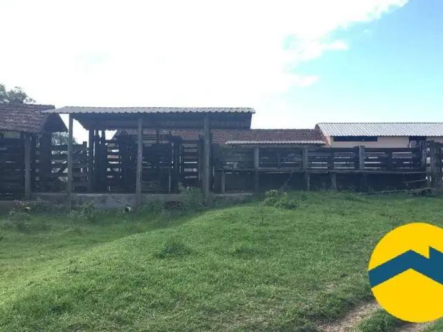 Sítio / Chácara para Venda em Araruama/RJ Centro