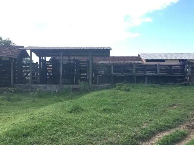 Sítio / Chácara para Venda em Araruama/RJ São Vicente de Paula 1 Quartos