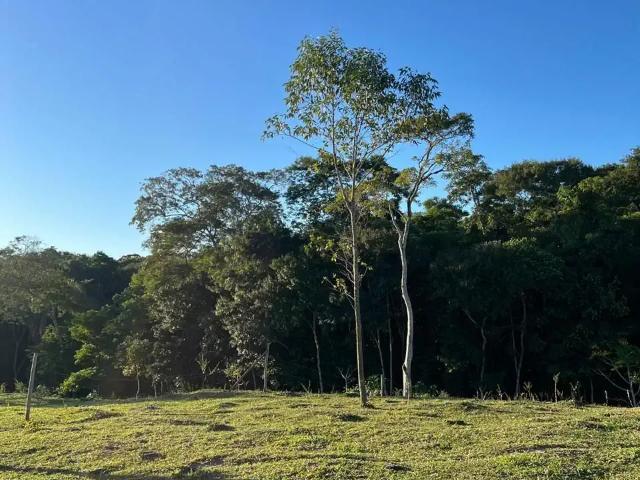 Sítio / Chácara para Venda em Araruama/RJ São Vicente de Paula 2 Quartos