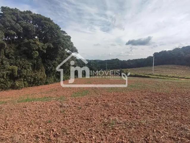 Sítio / Chácara para Venda em Araucária/PR Colônia Cristina