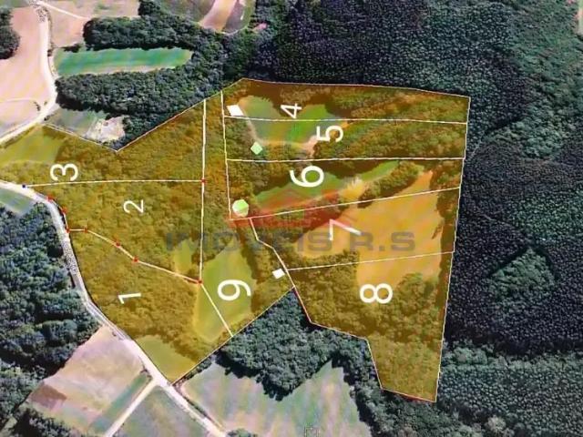Sítio / Chácara para Venda em Araucária/PR Colônia Cristina