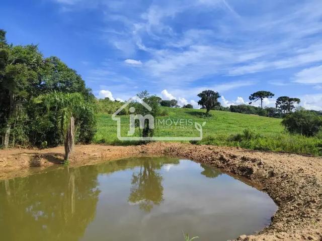 Sítio / Chácara para Venda em Araucária/PR Colônia Cristina