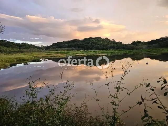 Sítio / Chácara para Venda em Araucária/PR Colônia Cristina