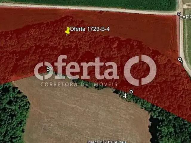Sítio / Chácara para Venda em Araucária/PR Colônia Cristina