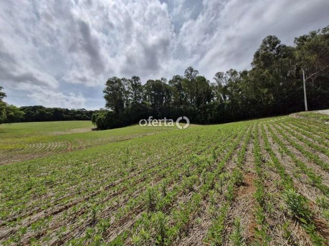 Sítio / Chácara para Venda em Araucária/PR Campina das Palmeiras