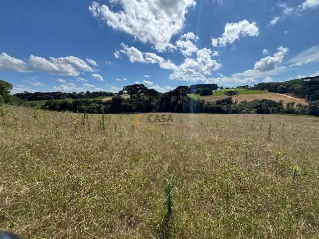 Sítio / Chácara para Venda em Araucária/PR Campina das Pedras 1 Quartos