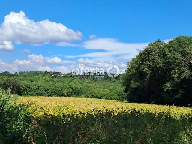 Sítio / Chácara para Venda em Araucária/PR Campina das Pedras