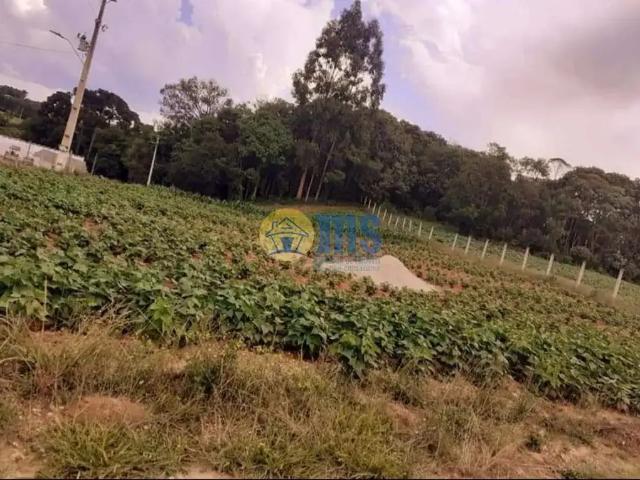 Sítio / Chácara para Venda em Araucária/PR Campina das Pedras