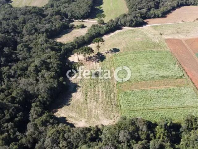 Sítio / Chácara para Venda em Araucária/PR Centro