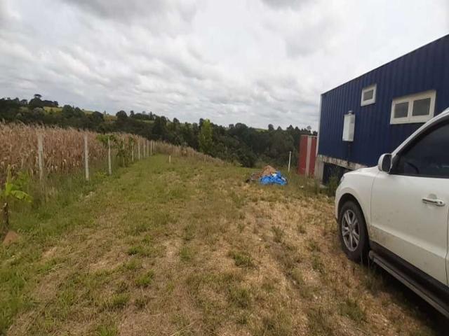 Sítio / Chácara para Venda em Araucária/PR Centro 2 Quartos