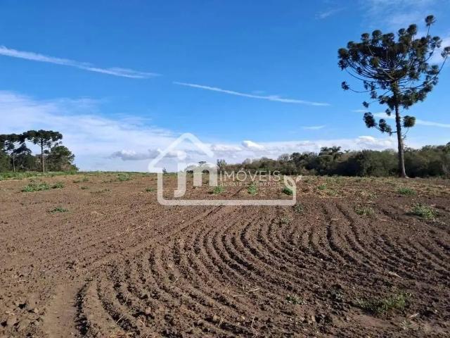 Sítio / Chácara para Venda em Araucária/PR Guajuvira